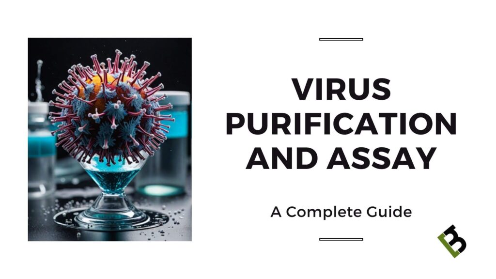Virus Purification and Assay: A Complete Guide - BiokiMicroki